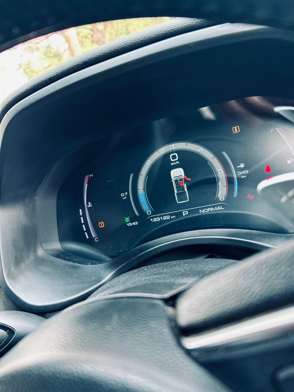 GWM P Series - BCS International