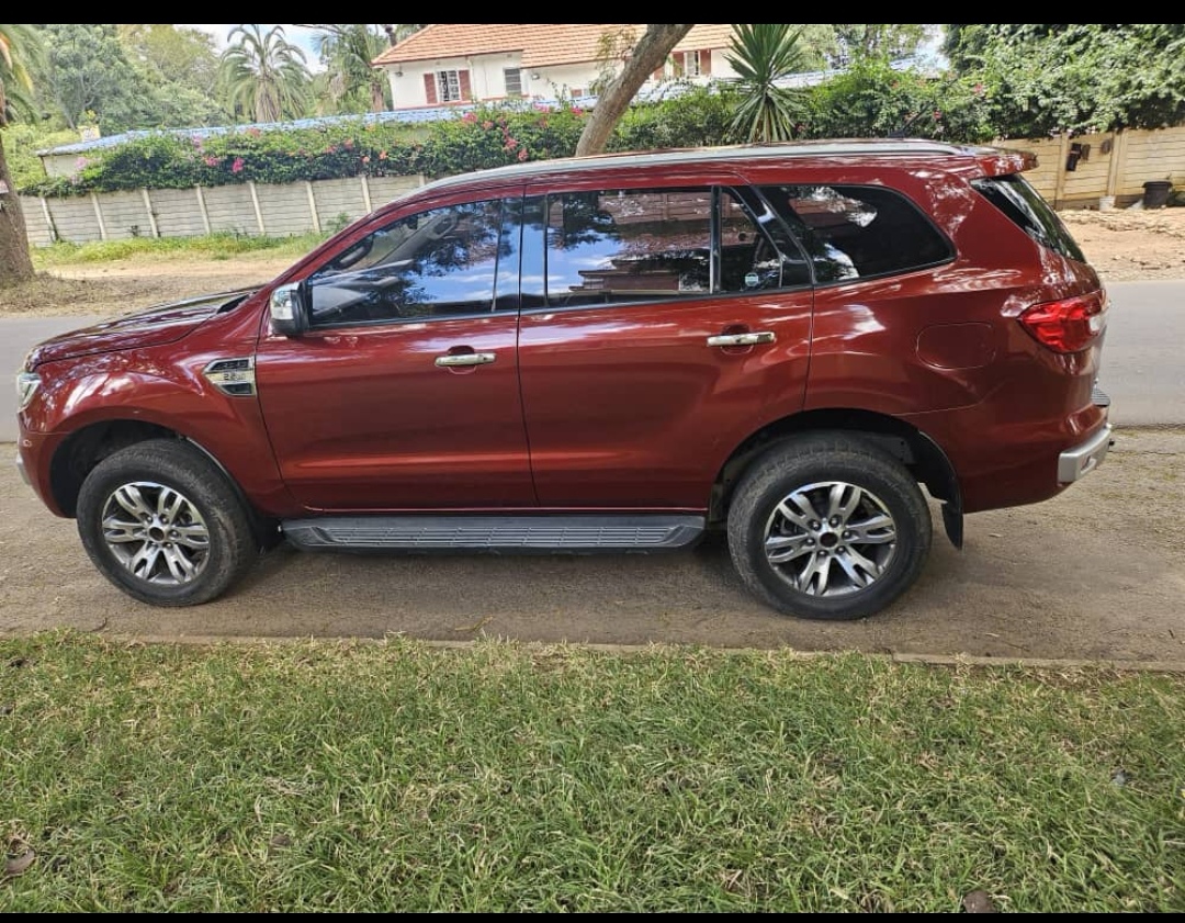 Everest - BCS International