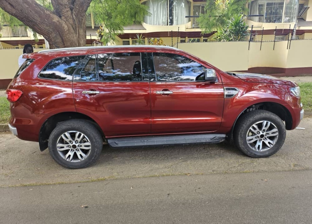 Everest - BCS International